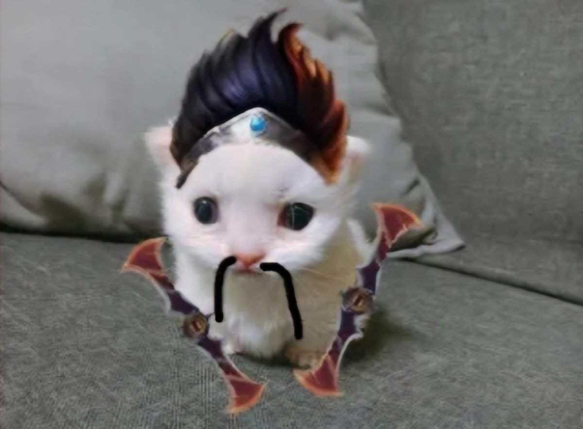 Buff The Marski Rule - Denied - Divide Networks